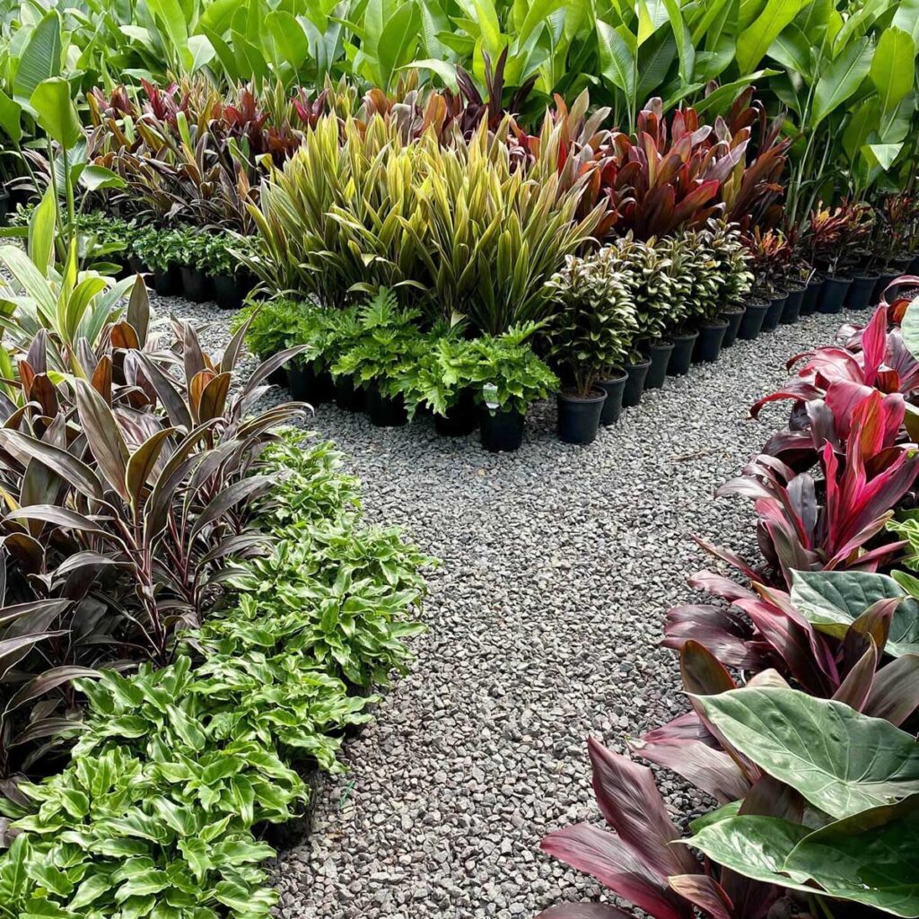 How do I Prepare My Yard for Landscaping? | Principal Landscapes, Perth WA