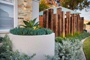 The Ultimate Guide to Native WA Plants for Perth Gardens